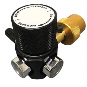 Buy Petersen 162-1110-80200, Pressure Regulator, 6000 PSI - Prime Buy