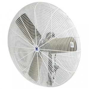 Buy Schaefer 36CFO, 36" Circulation Fan, White OSHA Guards - Prime Buy