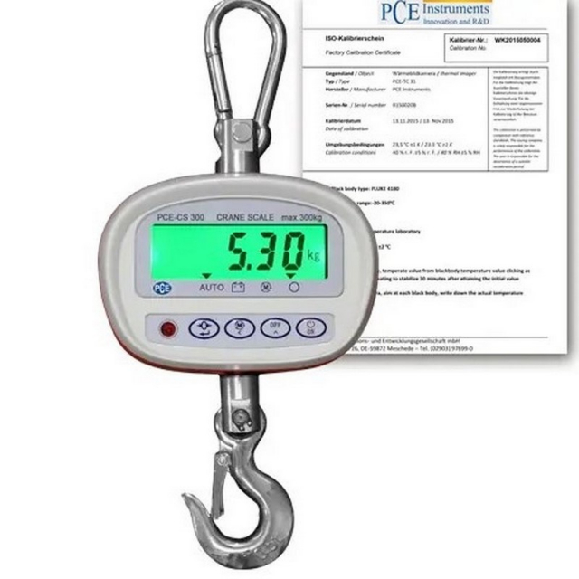 Buy PCE Instruments PCE-CS 300-ICA, Digital Hanging Scales 300 Kg ...