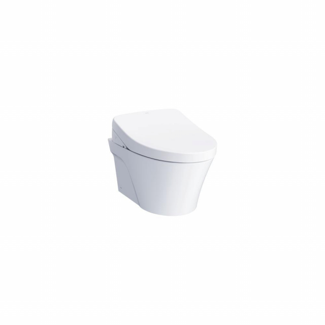 Buy TOTO CWT4263046CMFG#MS, AP Elong Toilet Matte Silver RD Dual PP ...